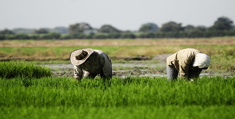 Free Course: Introducing international development management from ...