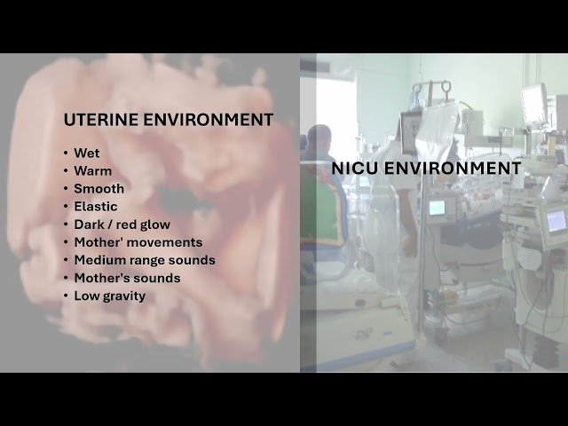 Free Video: Designing Calm - Transforming the NICU Sensory Experience with a NIDCAP Approach ...
