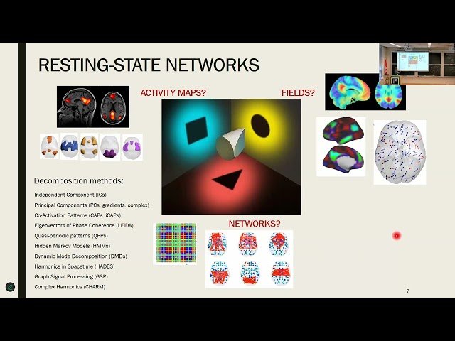 Free Video: Why Do Brain Magnetic Homogeneity Fields Link with ...
