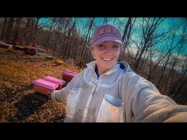 Free Video: The BEST Time to Split Your Beehives and How to Double Your ...