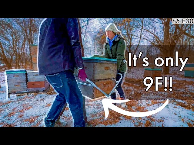 Free Video: Moving and Shipping Beehives: Transportation Challenges in Beekeeping - Part 1 from ...