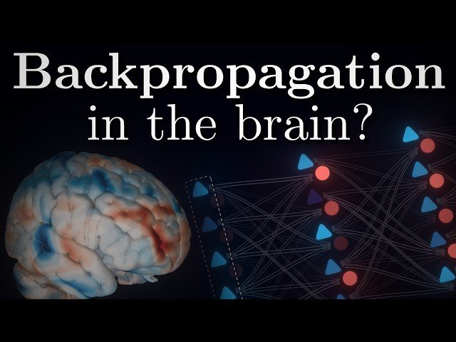 Free Video: Predictive Coding: A Biologically Plausible Alternative to Backpropagation from ...