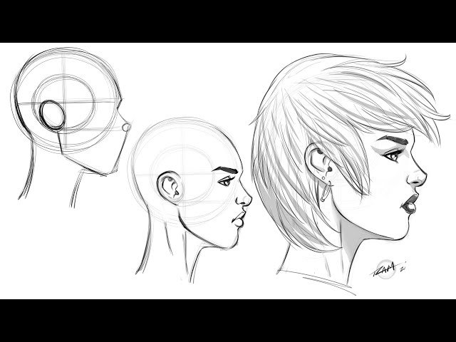 Free Video Drawing A Female Face Step By Step Profile View From Robert Marzullo Class Central 