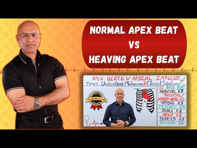 Free Video: Normal Apex Beat vs Heaving Apex Beat - Cardiology from Dr ...