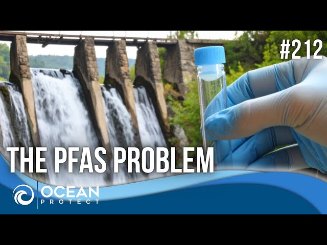Free Video: The PFAS Problem - Understanding Forever Chemicals and Their Environmental Impact ...