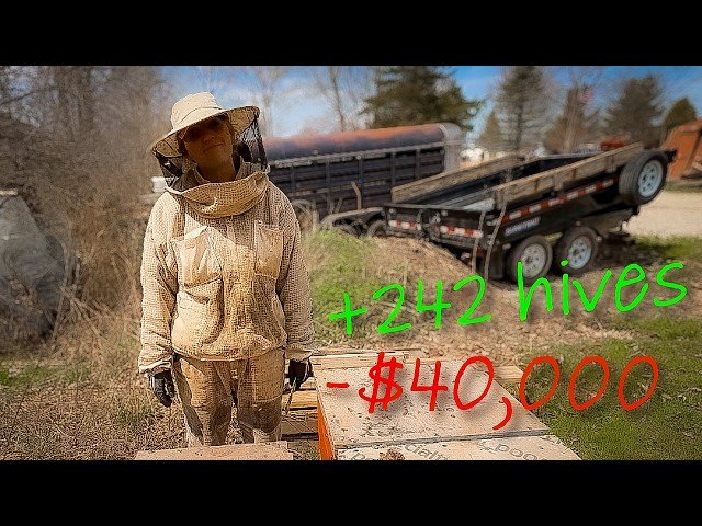 Free Video: How We Decide Which Hives Get Resources and Which Don't ...