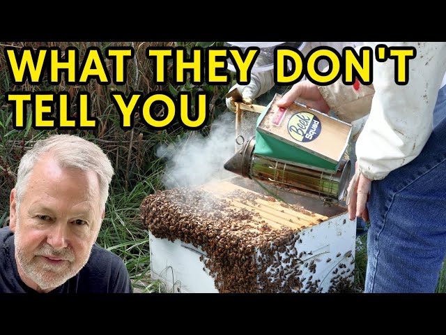 Free Video: Beekeeping: Critical Thinking in the Bee Yard - The Skill No One Teaches You from ...