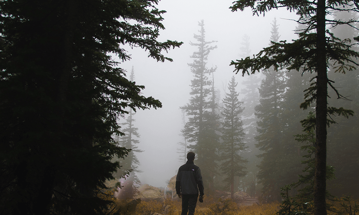 Online Course: Color Grading: How to Match Shots in DaVinci Resolve ...