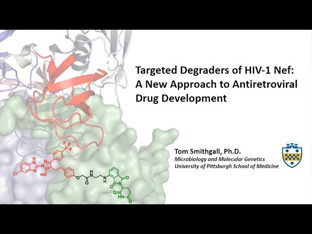 Free Video: Applications of Surface Plasmon Resonance (SPR) in HIV-1 ...