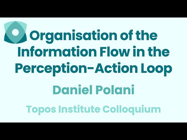 Free Video: Organization of the Information Flow in the Perception ...