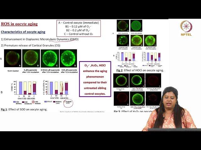 Free Video: Student Presentation on Biotechnology Topics - Lecture 47 ...