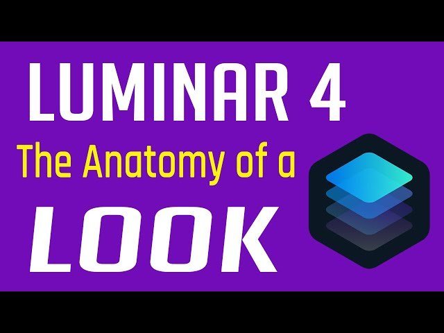 Free Video: Luminar 4 Tutorial - The Anatomy of a Look from The Joy of Editing with Dave Kelly ...