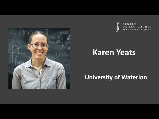 Free Video: Combinatorics of Causal Set Theory from Centre de recherches mathématiques - CRM ...