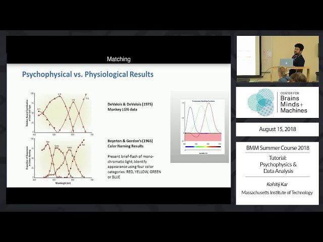 Free Video: Psychophysics and Data Analysis from MITCBMM | Class Central