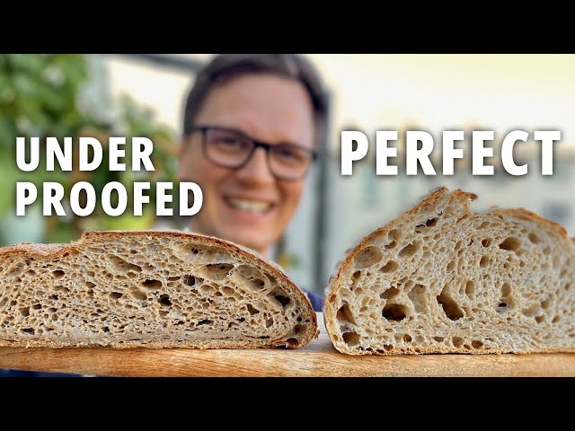 Free Video: The 4 Best Sourdough Proofing Methods Compared from The ...
