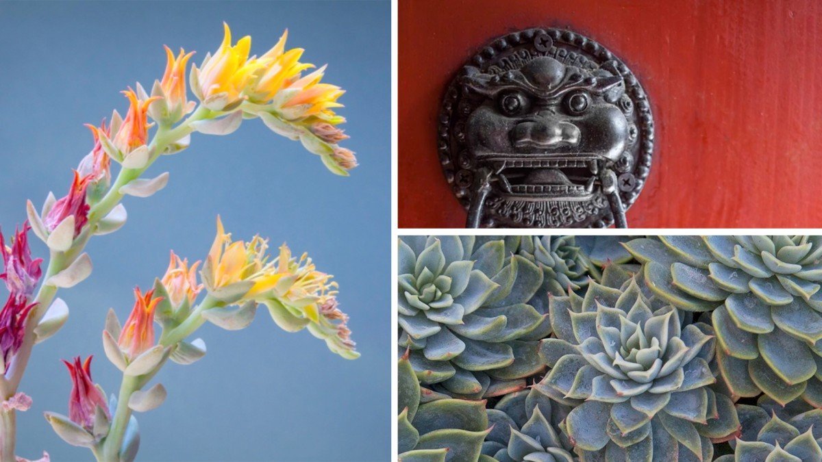 Online Course: Photoshop 2020 Essential Training: The Basics from LinkedIn Learning | Class Central