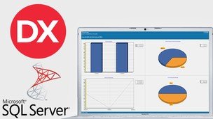 Online Course: Desenvolver Sistema com Delphi e SQL-Server na PRÁTICA from Udemy | Class Central