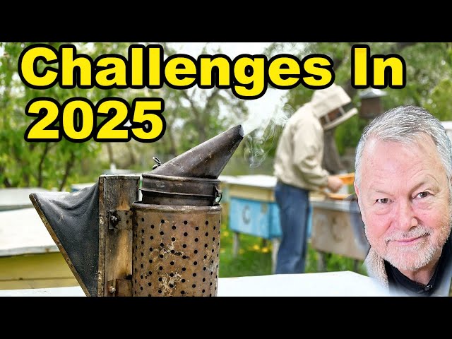 Free Video: Beekeeping Challenges Facing Beekeepers in 2025 from David ...