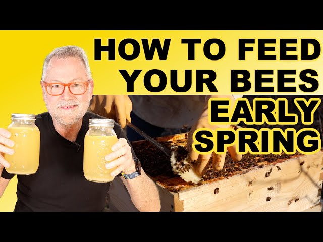 Free Video: Beekeeping - How to Feed Your Bees in the Spring from David ...