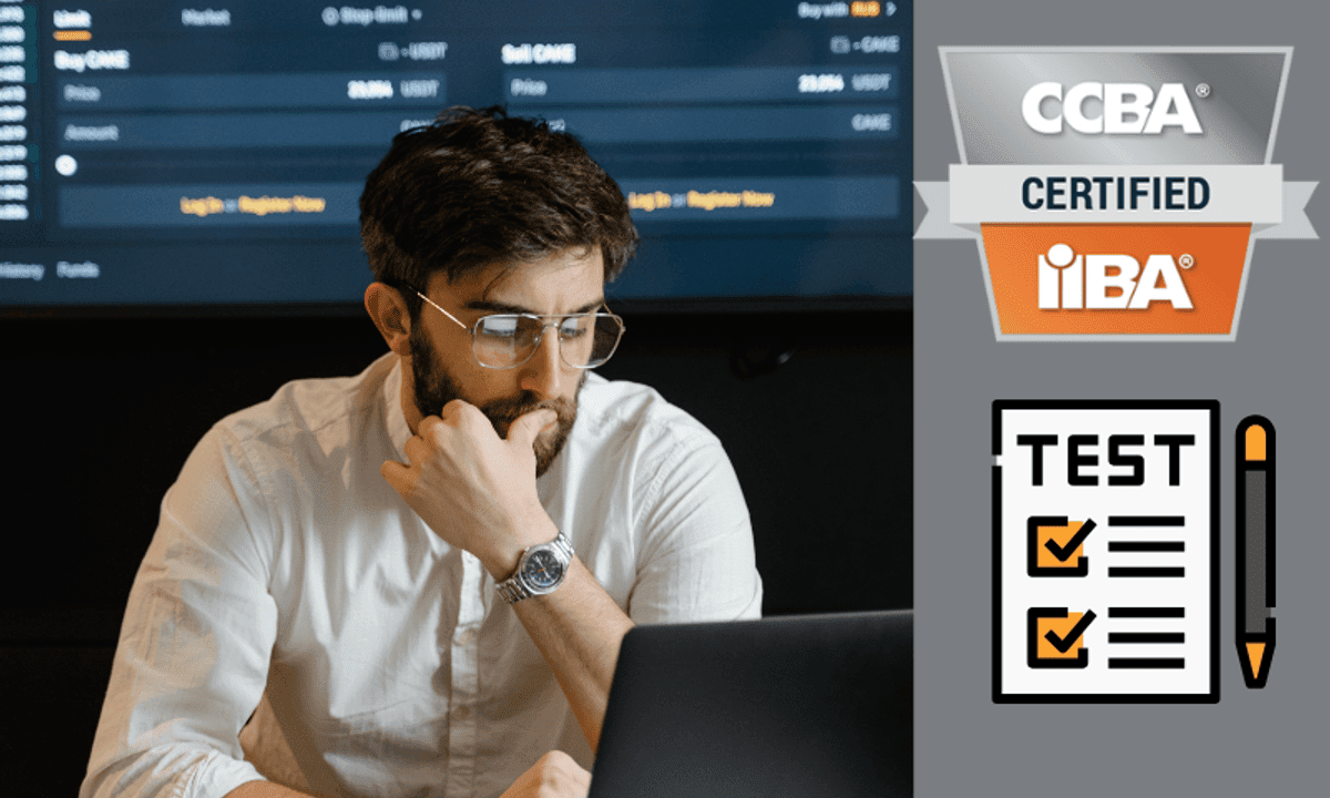 Online Course: CCBA Practice Exam from LearnKartS | Class Central