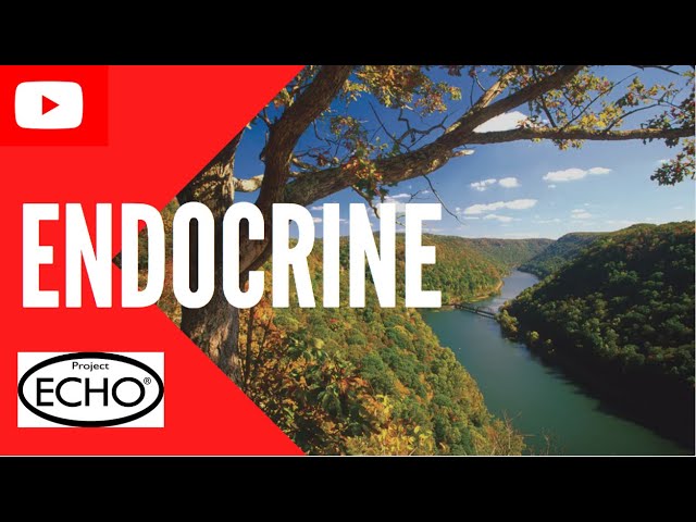 Free Video: Endocrine ECHO Case Presentation from WVCTSI Project ECHO ...