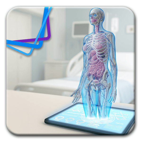 Online Course: Interactive 3D Anatomy & Physiology: A Gamified ...