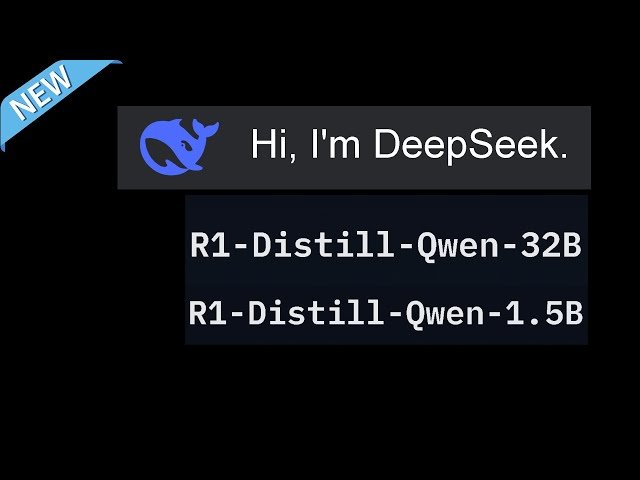 Free Video: DeepSeek R1-Distill-Qwen Language Models - A Technical Overview and Comparison from ...