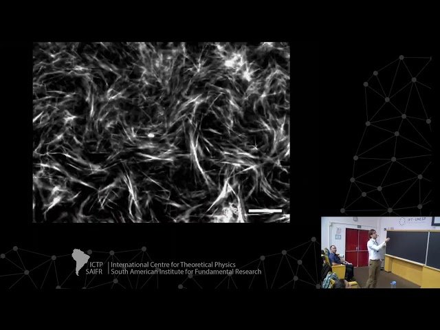 Free Video: Disordered Elastic Materials - Class 1 from ICTP-SAIFR | Class Central
