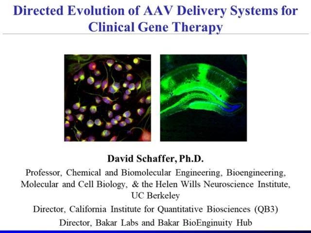 Free Video: Directed Evolution of AAV Delivery Systems for Clinical ...