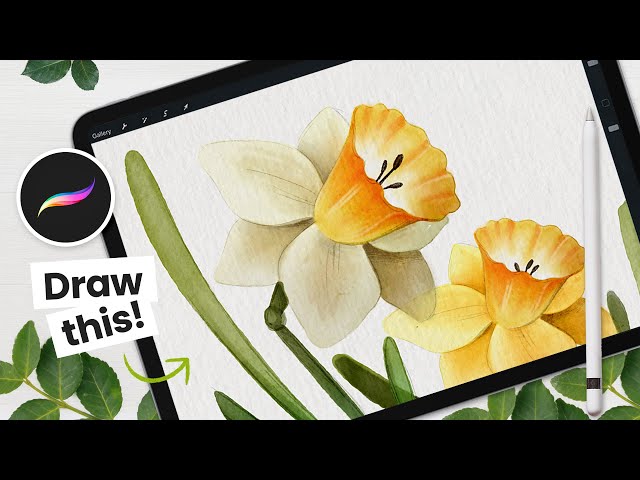 Free Video: How to Draw Daffodils and Mothers Day Card - Procreate ...