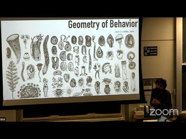 Free Video: Mechanical Intelligence: Origins and Evolution of Complex ...