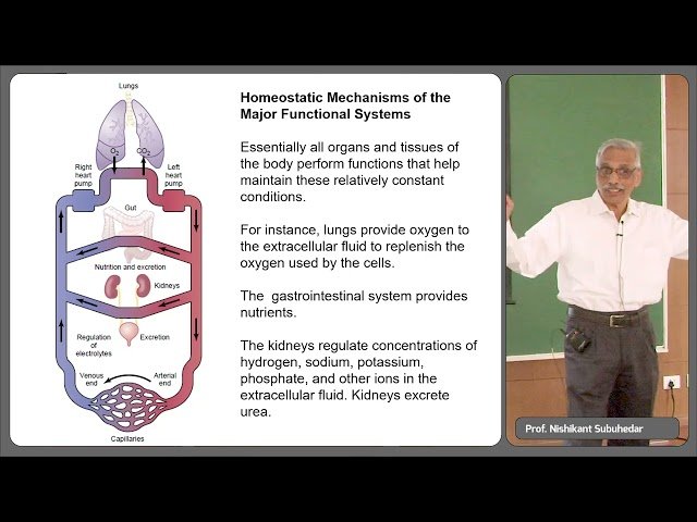 Free Video: Mechanisms of Homeostasis - Part 1 from NPTEL-NOC IITM ...