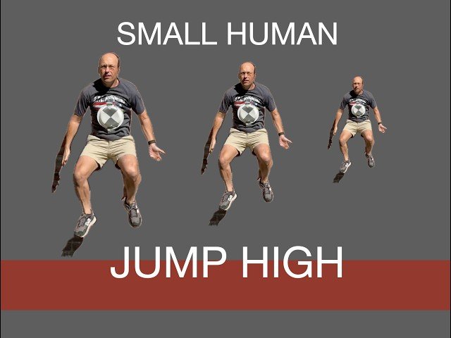 Free Video: Physics Question - Does Jump Height Depend on Human Size ...
