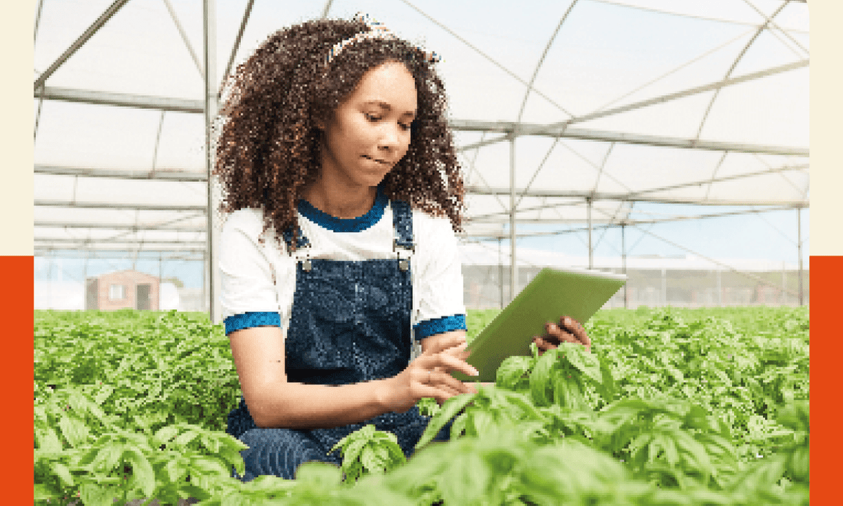 Online Course: Sustainable Digital Impact: Agritech Startup Ecosystems from Inter-American ...