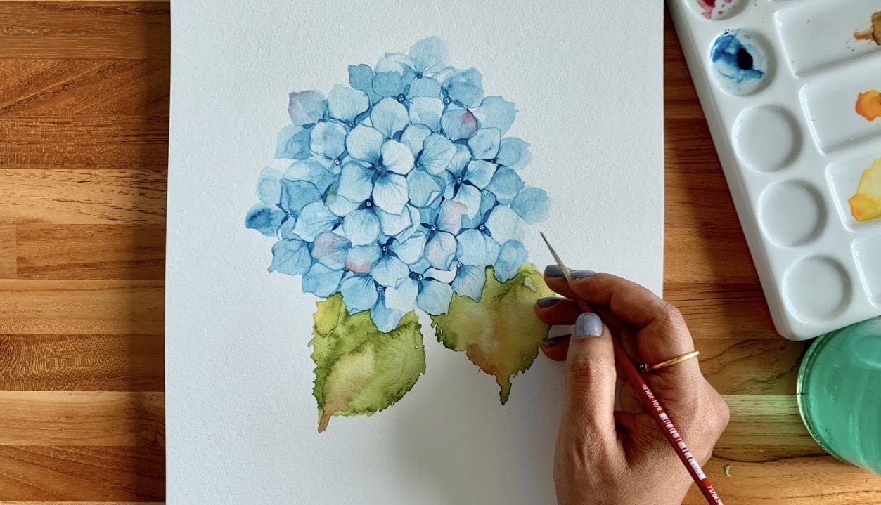 Online Course: Hydrangeas in Watercolors: A Step-by-Step Approach for ...