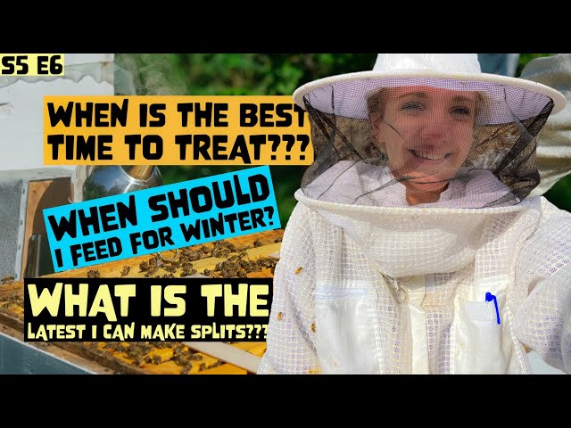 Free Video: July Beekeeping Tips - Preparing Honey Bee Colonies for ...