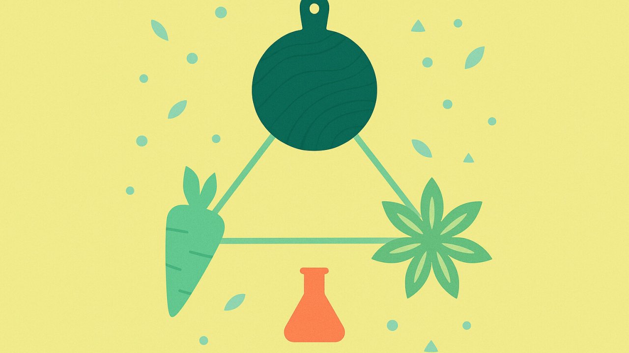 Free Course: Building an AI Cooking Helper with Flask from CodeSignal | Class Central