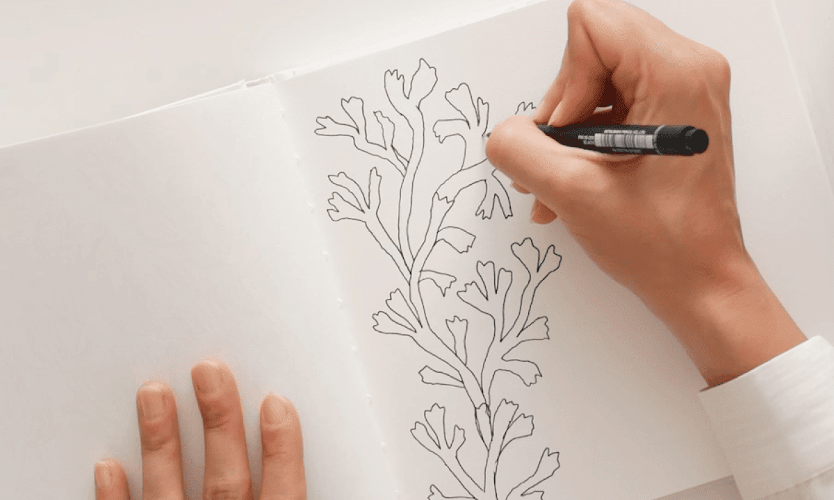 Online Course: Watch Me Design a Pattern Collection: Creative Struggles ...