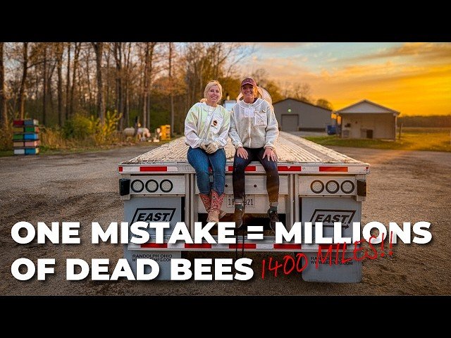 Free Video: Commercial Bee Transportation - How Female Truckers Move 20 ...