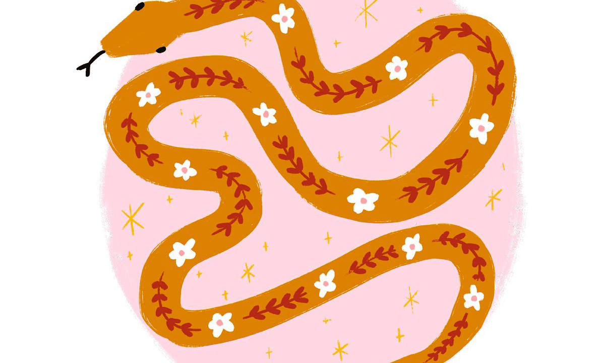 Online Course: Kickstart Your Creativity with Procreate: Draw Animals ...