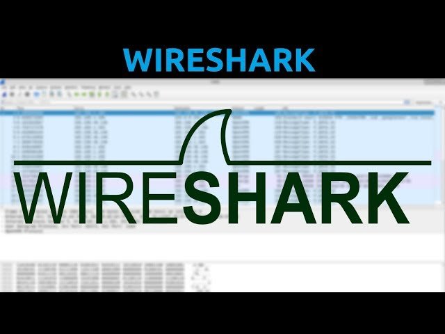 Free Video: Wireshark Interface and OSI Model Tutorial from ...