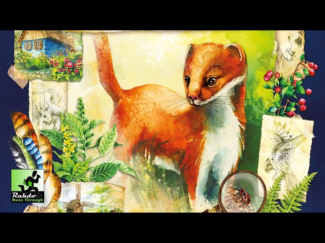 Free Video: Meadow Gameplay Runthrough from Rahdo | Class Central