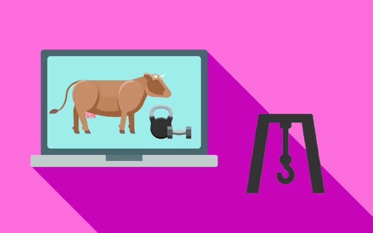 Online Course: Animated Deployment with Ansistrano from SymfonyCasts | Class Central