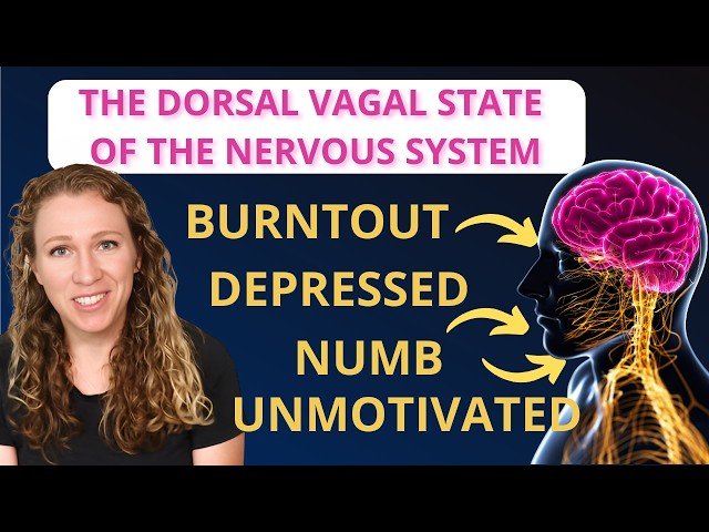 Free Video: Depression in the Nervous System - Understanding the Dorsal Vagal Shutdown Response ...