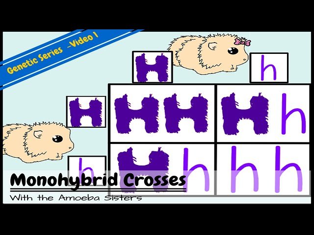 Free Video: Genetic Series - Mendelian and Non-Mendelian Genetics from ...