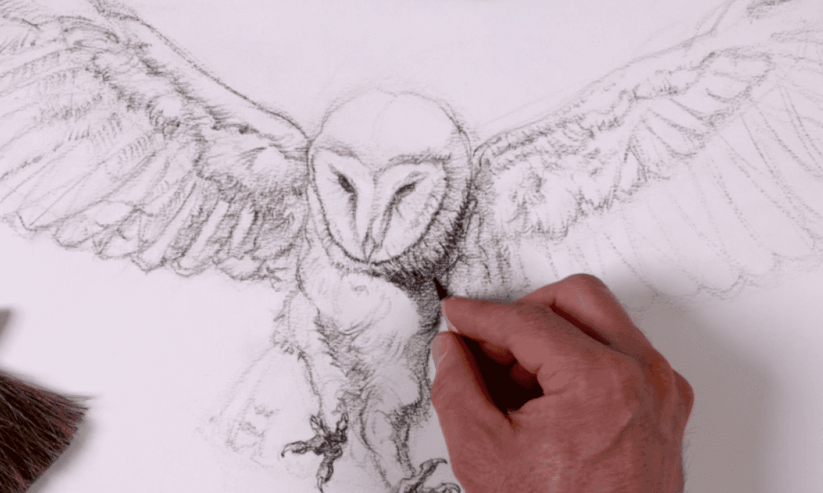 Online Course: How to Draw: A Beginner’s Guide Pt 1 – Basic Shapes from ...