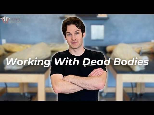 Free Video: Anatomical Findings and Cancer Progression: A 10-Year ...