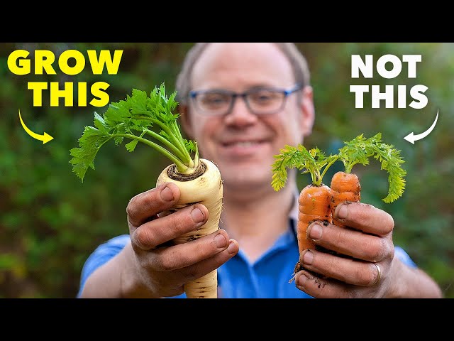 Free Video: This Crop is Way Better than Carrots - The Forgotten ...