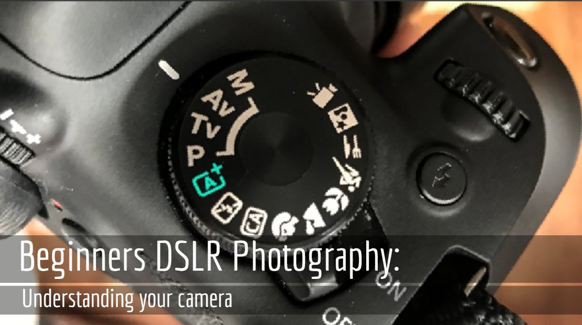 Online Course: Beginners DSLR Photography: Understanding Your Camera ...