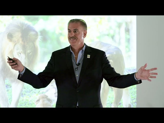 TEDx Talk: Emotions in Animals - Reality or Anthropomorphism from TEDx ...